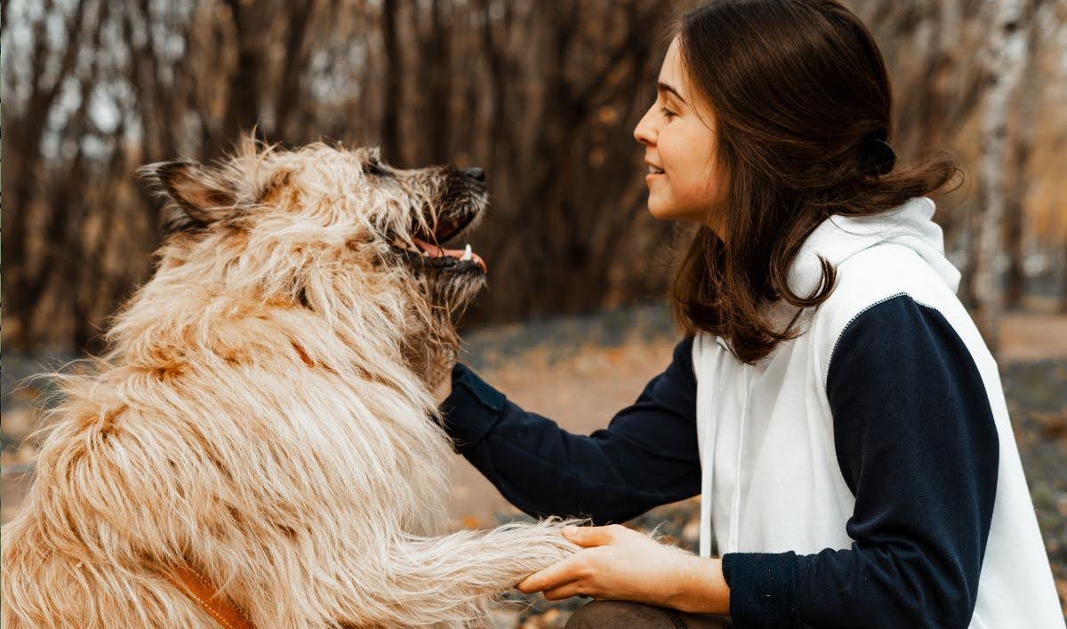 Formation animalière : guide pour travailler avec les animaux - Beart
